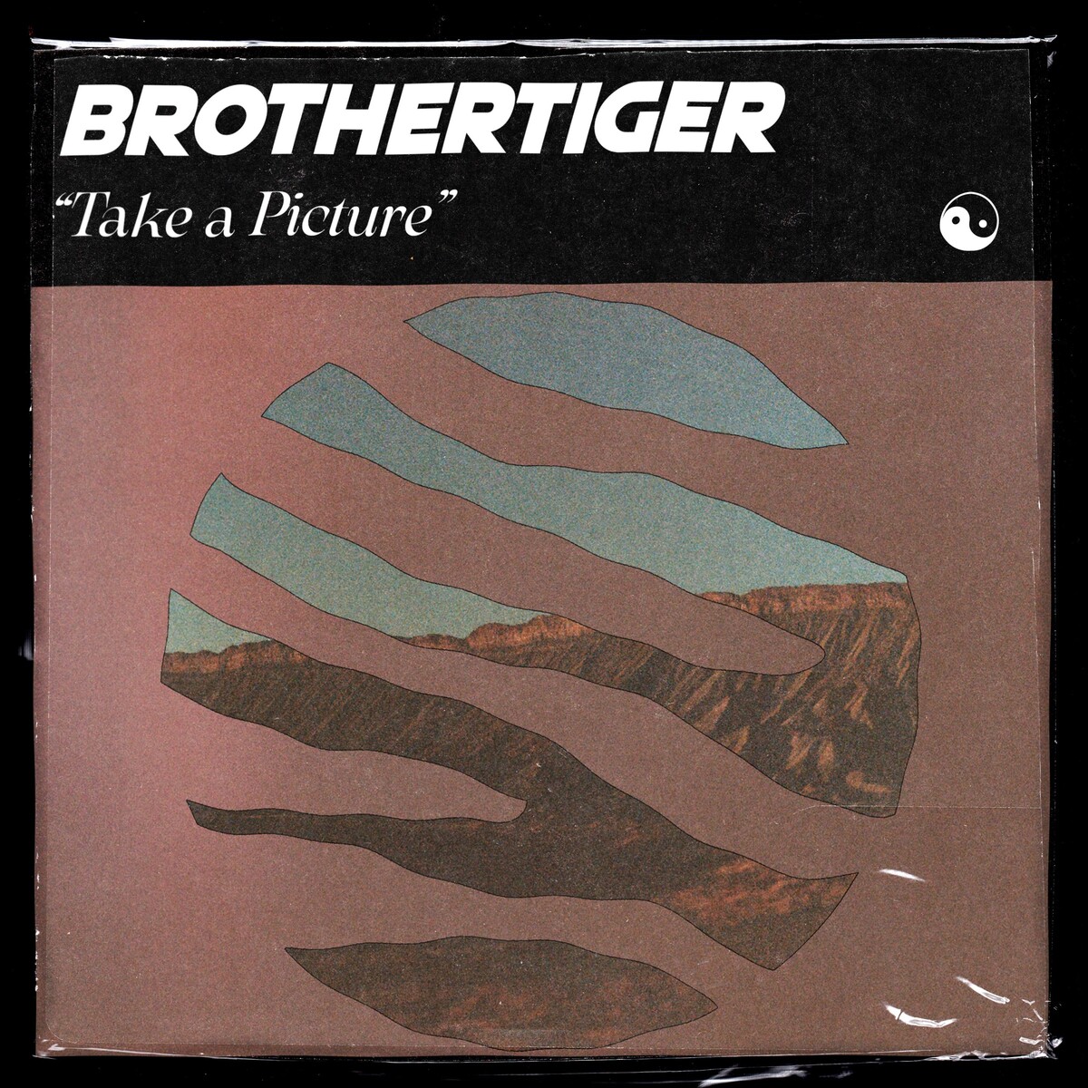 Take a Picture by Brothertiger (Single): Reviews, Ratings, Credits ...