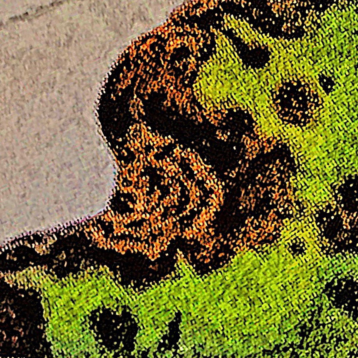 The Slaps Albums: songs, discography, biography, and listening guide ...