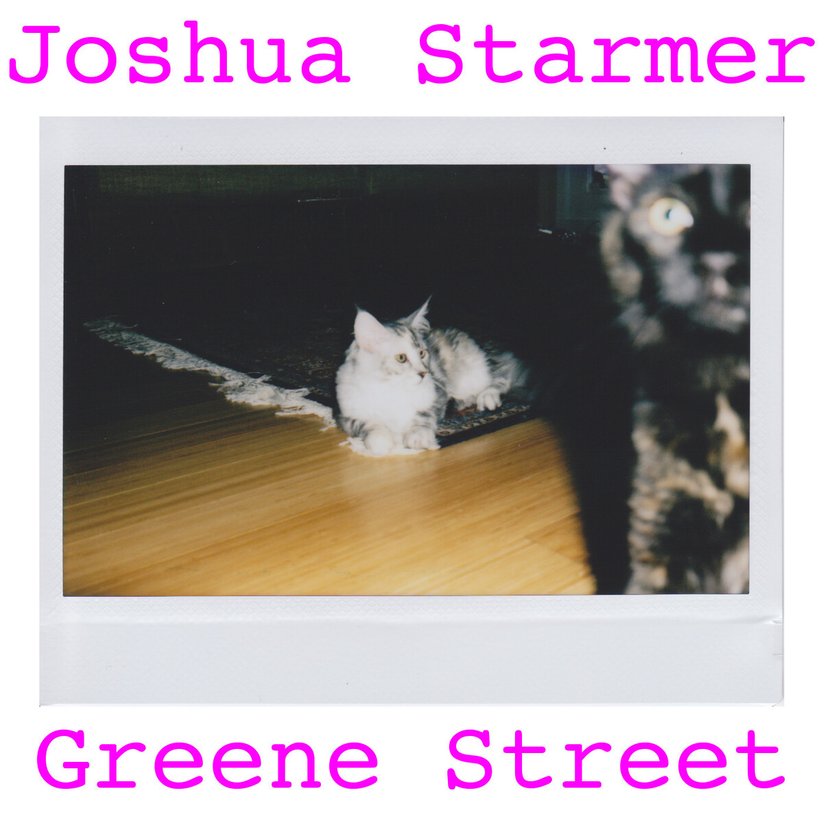 Greene Street by Joshua Starmer (Album): Reviews, Ratings, Credits ...