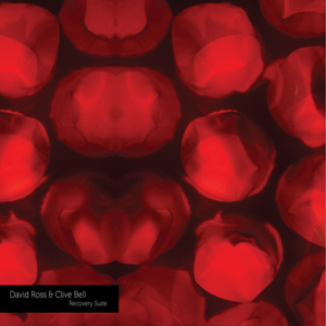 Recovery Suite by David Ross / Clive Bell (Album): Reviews, Ratings ...
