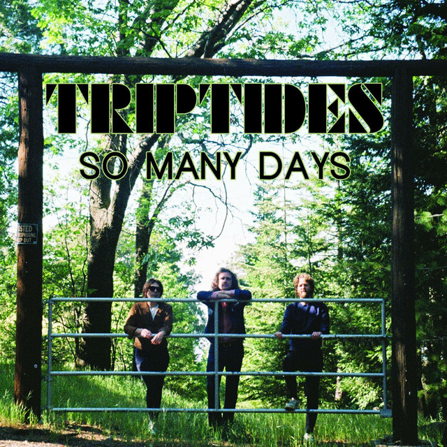 So Many Days by Triptides (Single): Reviews, Ratings, Credits, Song ...