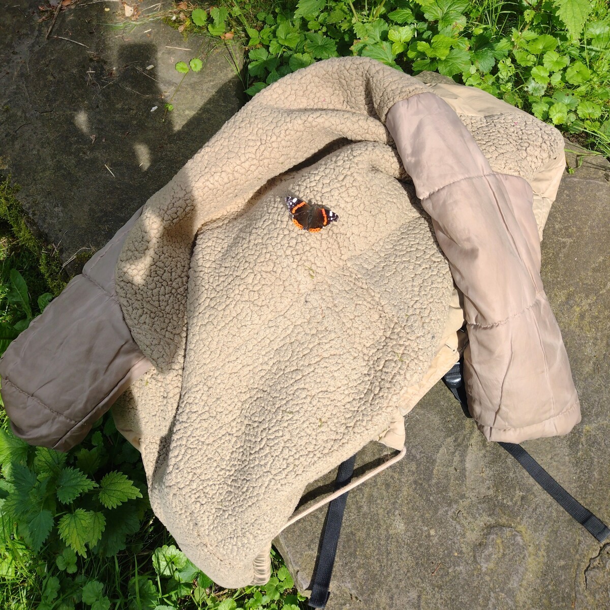 Wouldn't that be something (Like Them Animals) by Blarg (Single ...