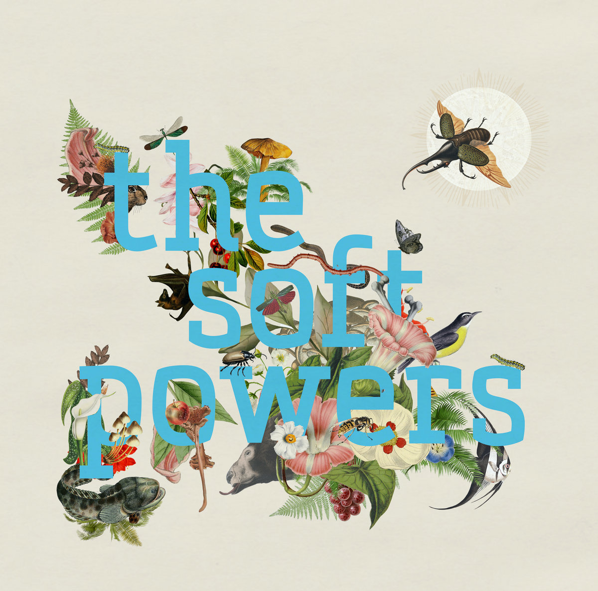 The Soft Powers by This Beautiful Mess (Album): Reviews, Ratings ...