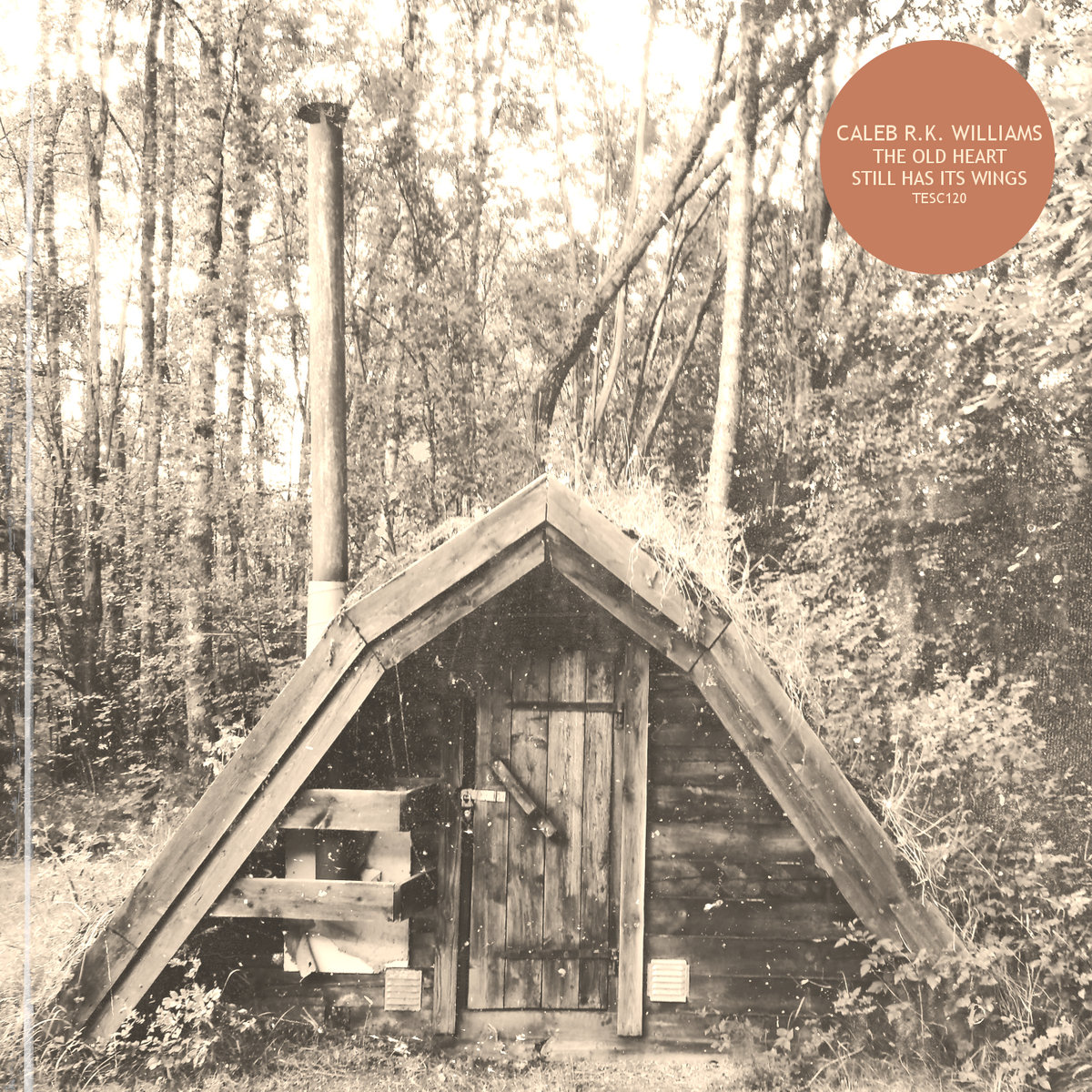 The Old Heart Still Has Its Wings by Caleb R.K. Williams (Album ...
