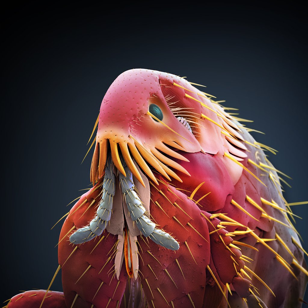 Best Jam Band singles of the 2010s - Rate Your Music