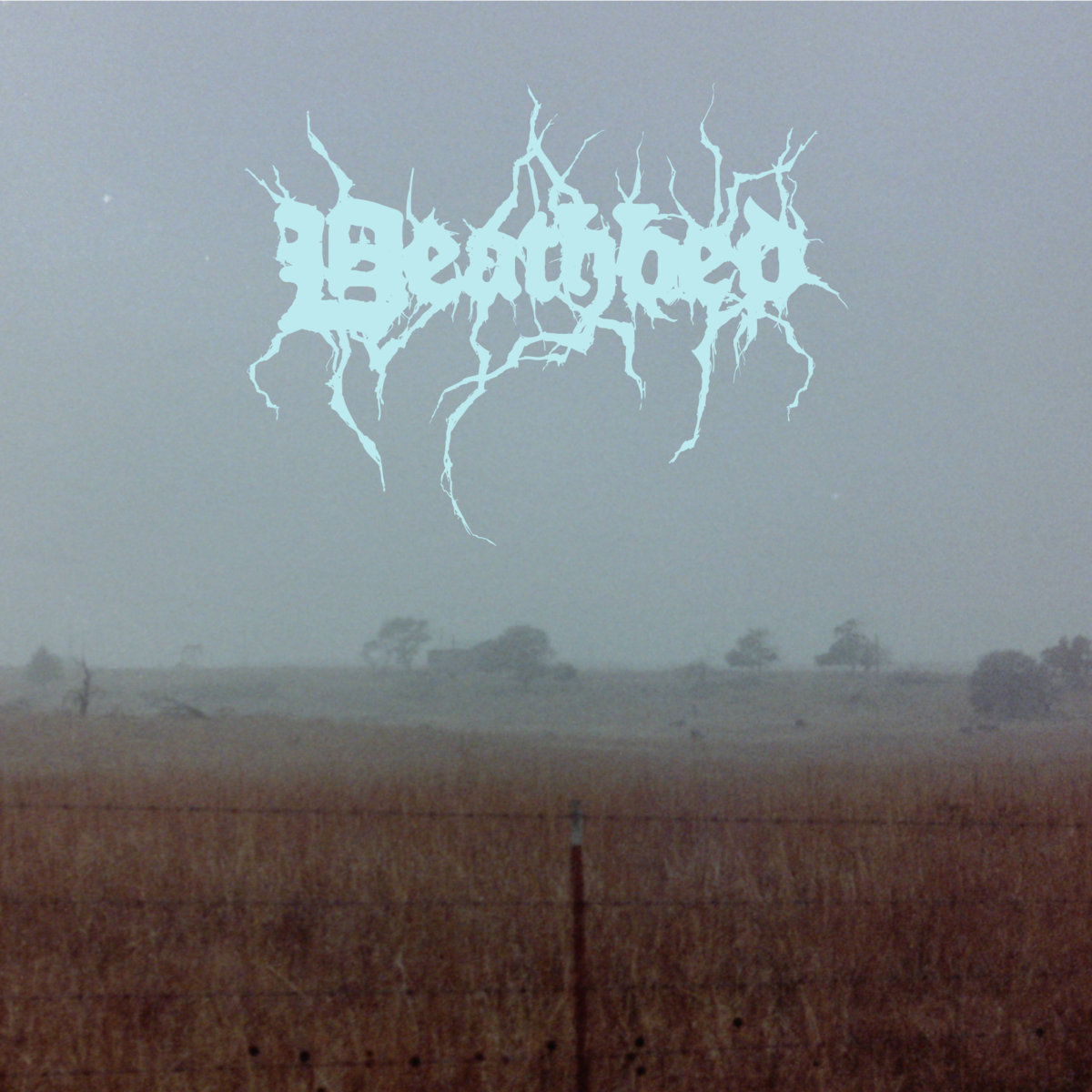 Deathbed by Coatie Pop (Album, Dream Pop): Reviews, Ratings, Credits ...