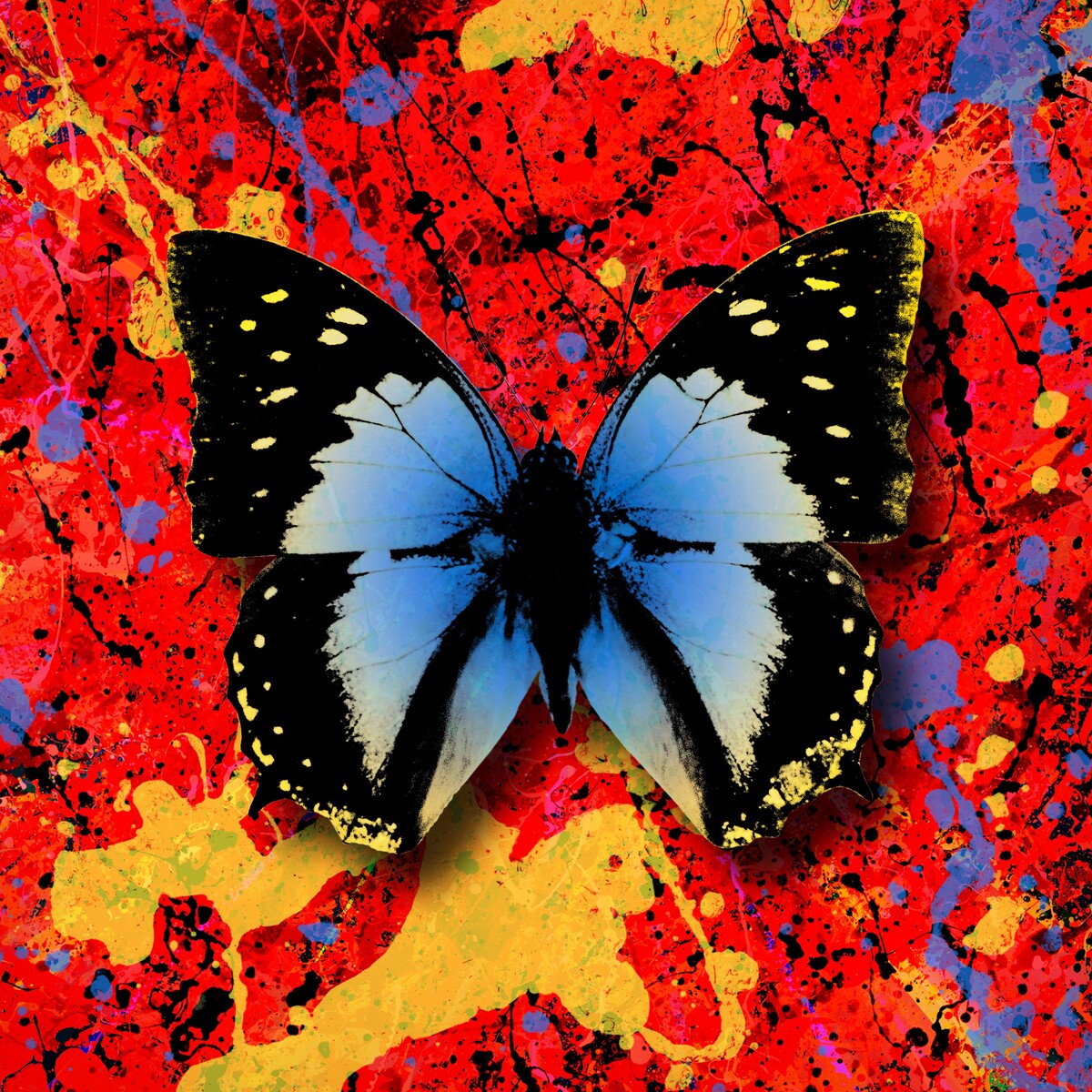 2step by Ed Sheeran (Single, Pop Rap): Reviews, Ratings, Credits, Song ...