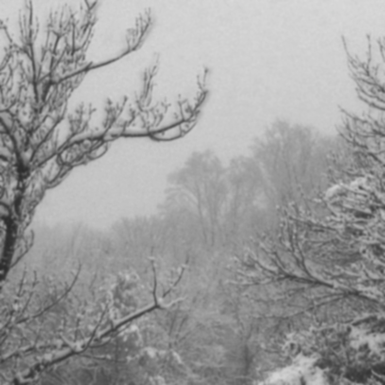 Snow by L' Hiver Blanc (Album, Vaporwave): Reviews, Ratings, Credits ...