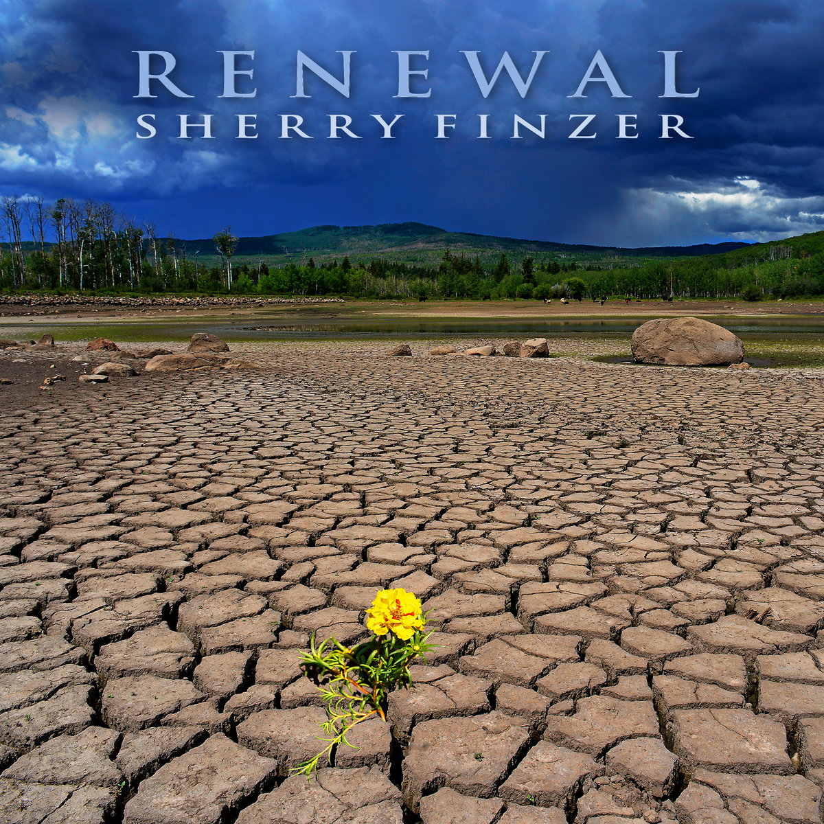 Renewal by Sherry Finzer (Album, New Age): Reviews, Ratings, Credits ...