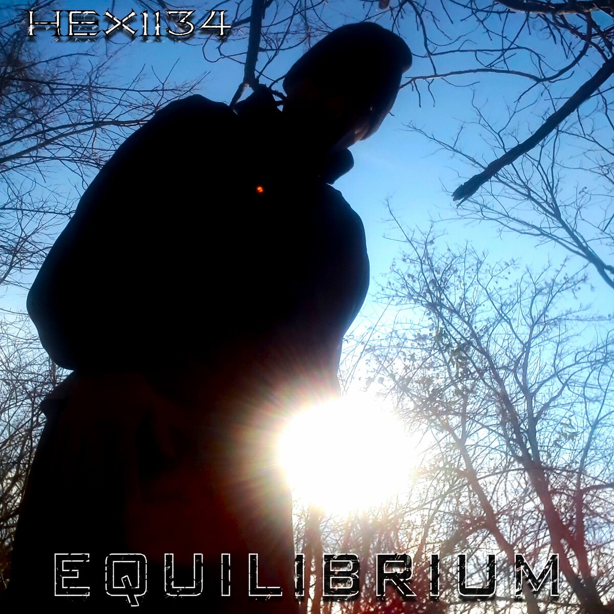 Equilibrium by Hex1134 (Album): Reviews, Ratings, Credits, Song list - Rate Your Music