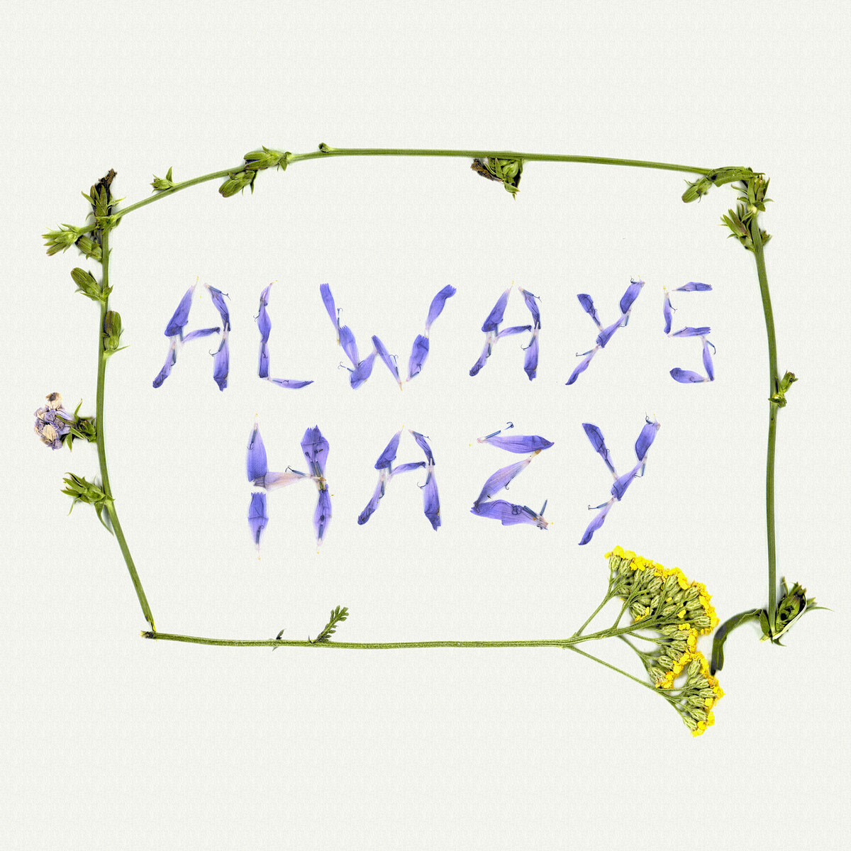 Always Hazy by Macseal (Single): Reviews, Ratings, Credits, Song list ...