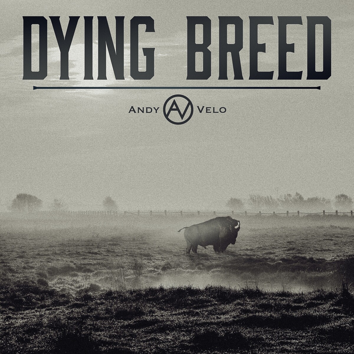 Dying Breed by Andy Velo (Single): Reviews, Ratings, Credits, Song list ...