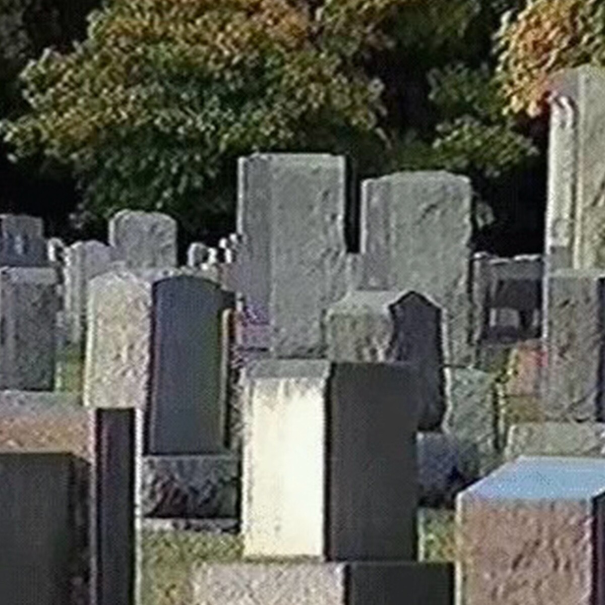 CADAVER by Bones (Album, Trap): Reviews, Ratings, Credits, Song list ...