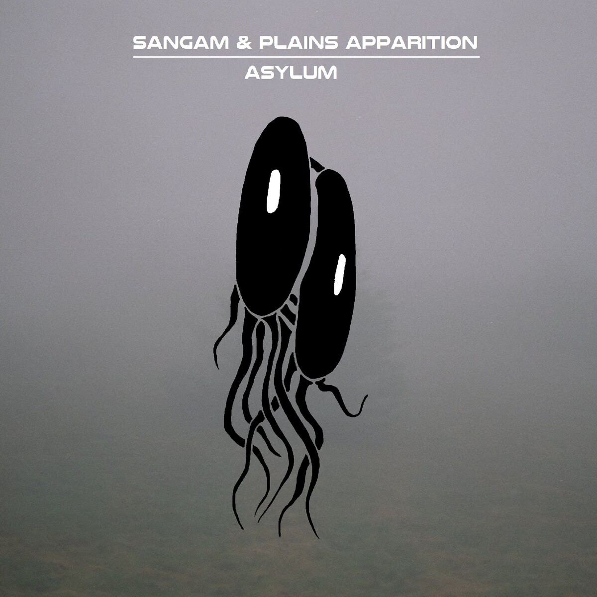Asylum by Sangam & Plains Apparition (Album): Reviews, Ratings, Credits ...