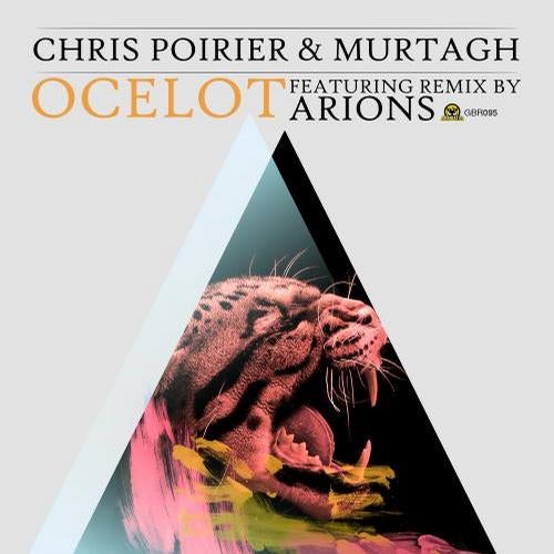 Ocelot by Chris Poirier & Murtagh (Single): Reviews, Ratings, Credits ...
