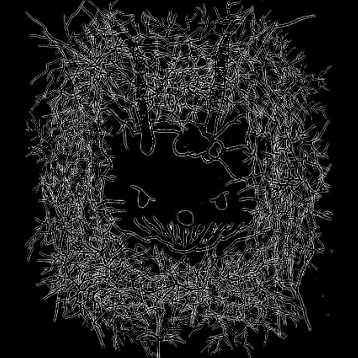 RUIDO DESTRUIDO by Ruido Destruido (Single): Reviews, Ratings, Credits ...
