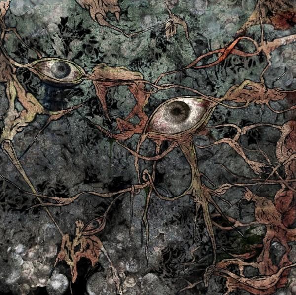 Ashen Albums: songs, discography, biography, and listening guide - Rate ...