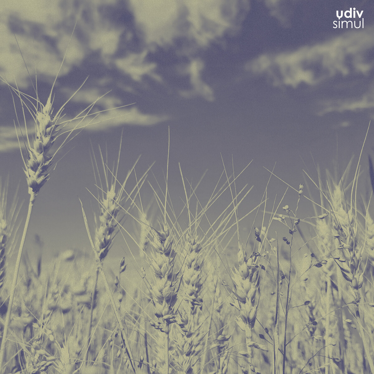 Simul by Udiv (Album): Reviews, Ratings, Credits, Song list - Rate Your ...