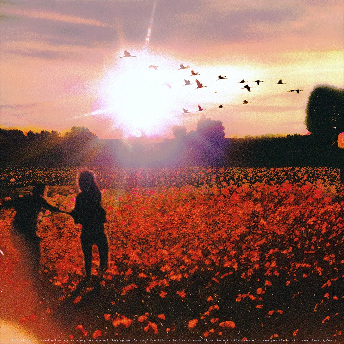 Best Pop Rap albums of 2023 - Rate Your Music