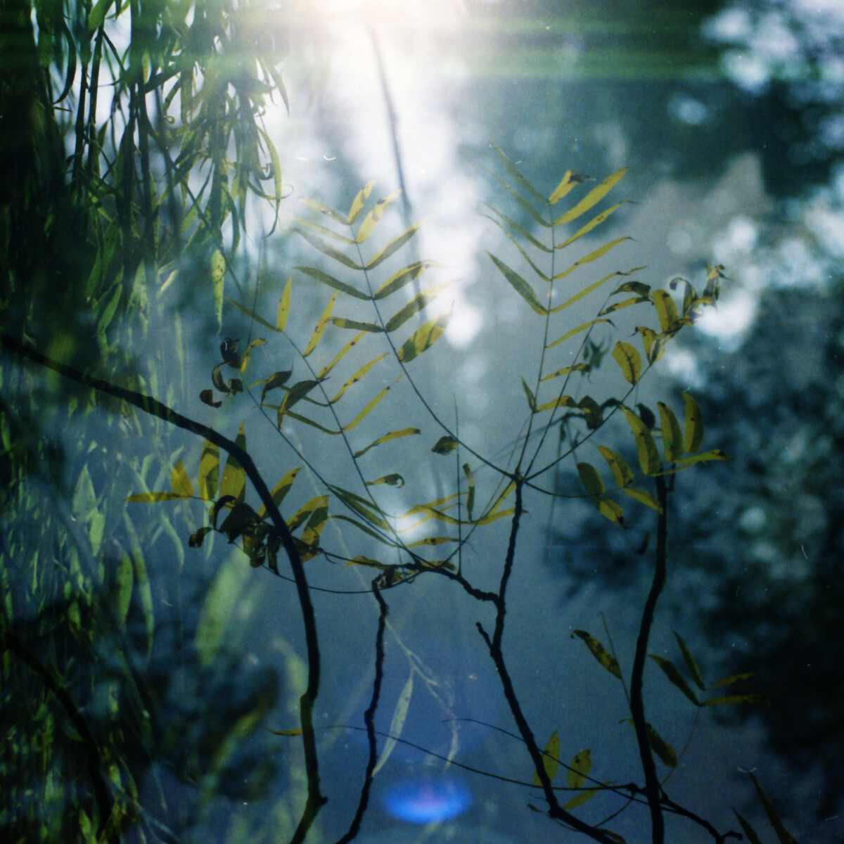 Be Well by Ben Rath (Album, Ambient): Reviews, Ratings, Credits, Song ...