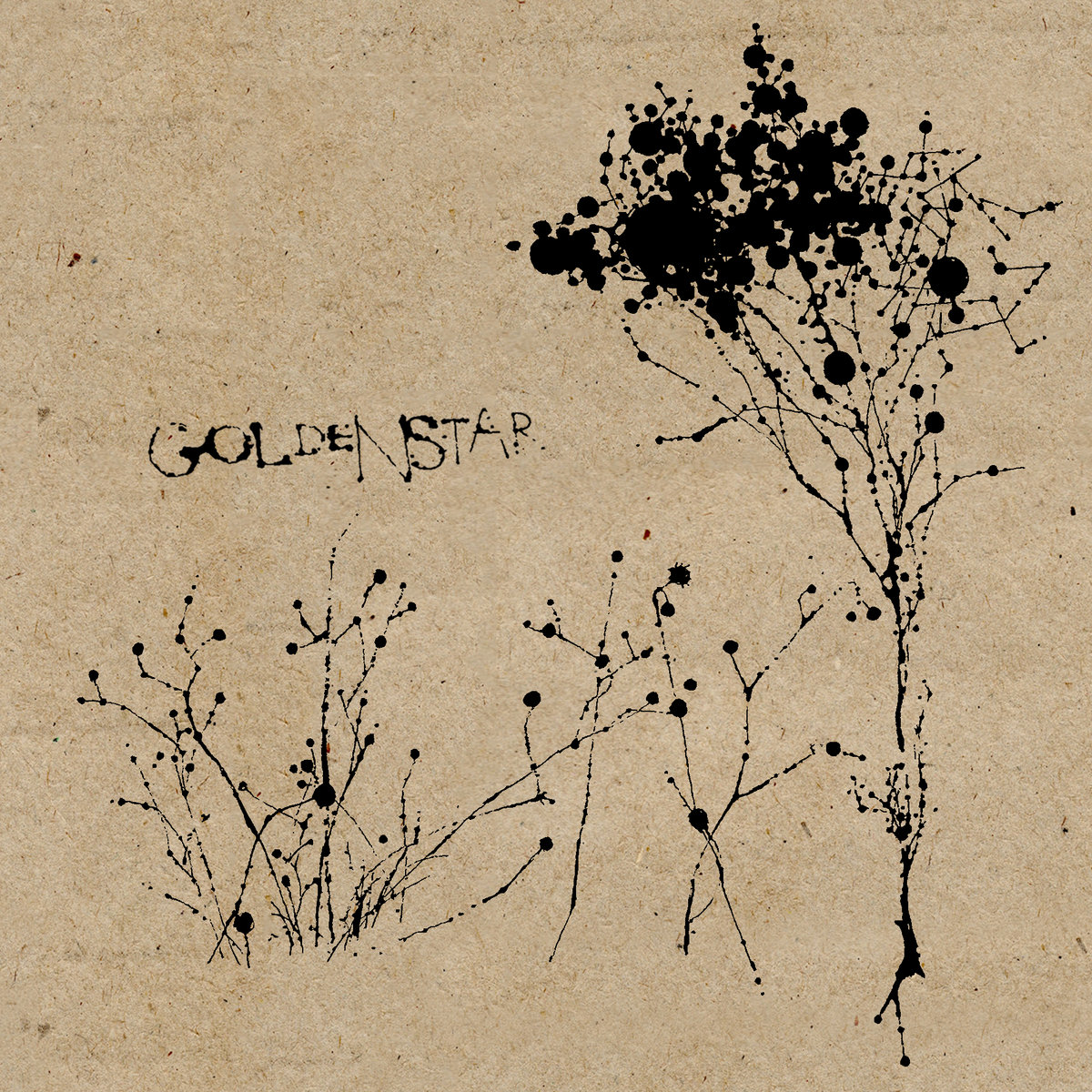 goldenstar Albums: songs, discography, biography, and listening guide ...