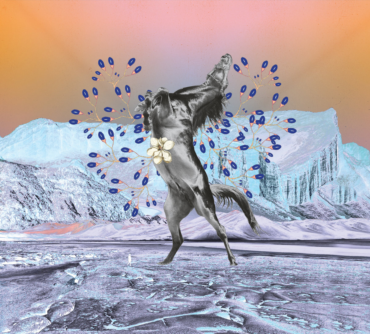 Artaud Albums: songs, discography, biography, and listening guide ...