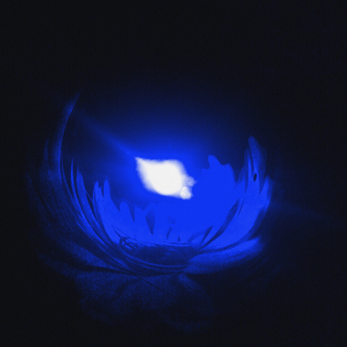 JDisk Albums: songs, discography, biography, and listening guide - Rate ...