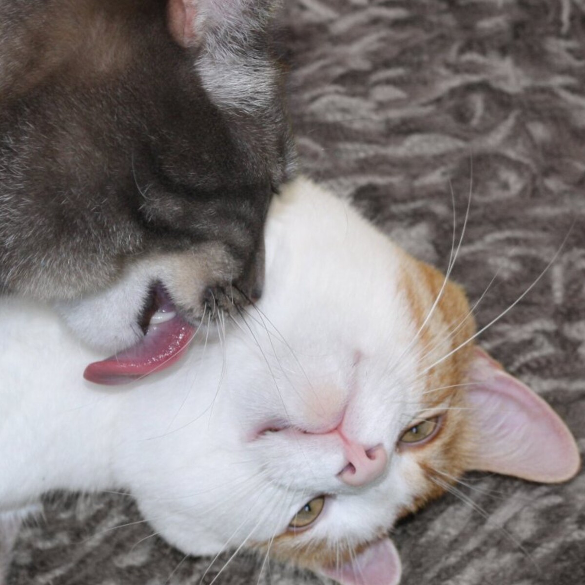 Sci-fi Fantasy by rydglek (Single, Electronic): Reviews, Ratings ...