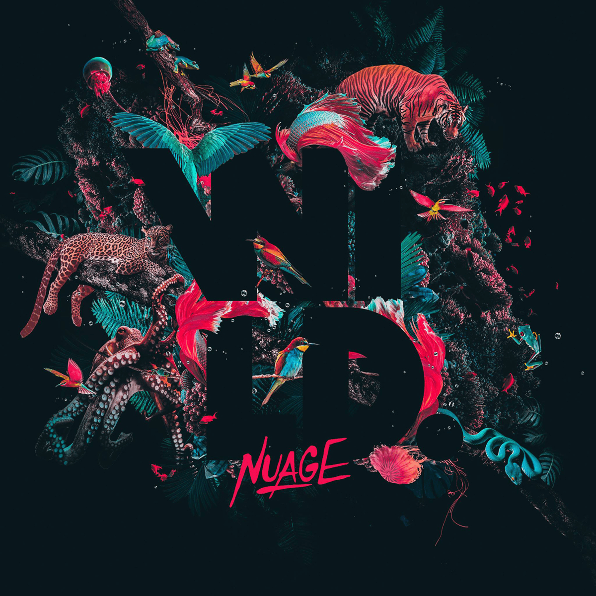 Nuage Albums: songs, discography, biography, and listening guide - Rate ...