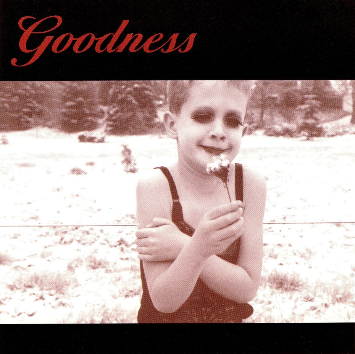 Goodness Albums: songs, discography, biography, and listening guide ...