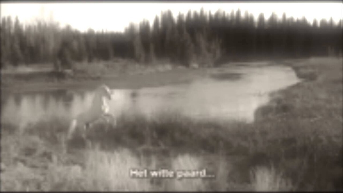 Harvest of the Red Moon by Sick Since (Music video): Reviews, Ratings ...