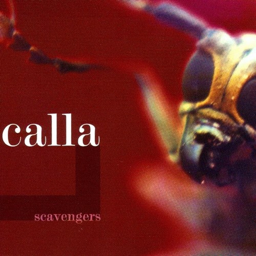 Calla Albums: songs, discography, biography, and listening guide - Rate ...
