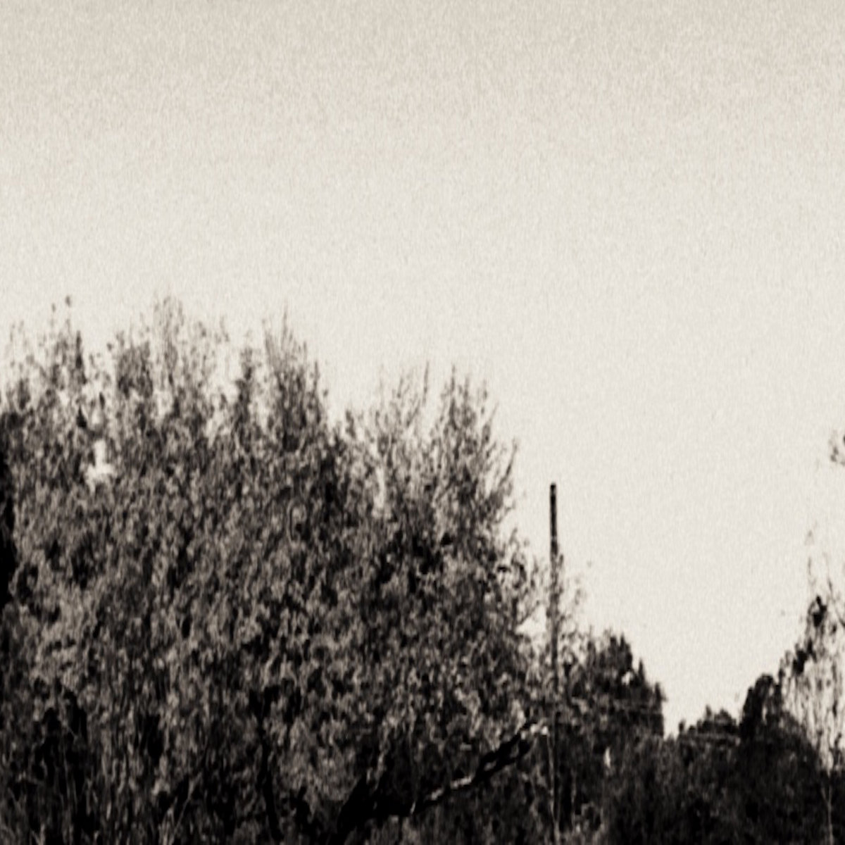 Esoteric Noisecore EPs of 2019 - Rate Your Music