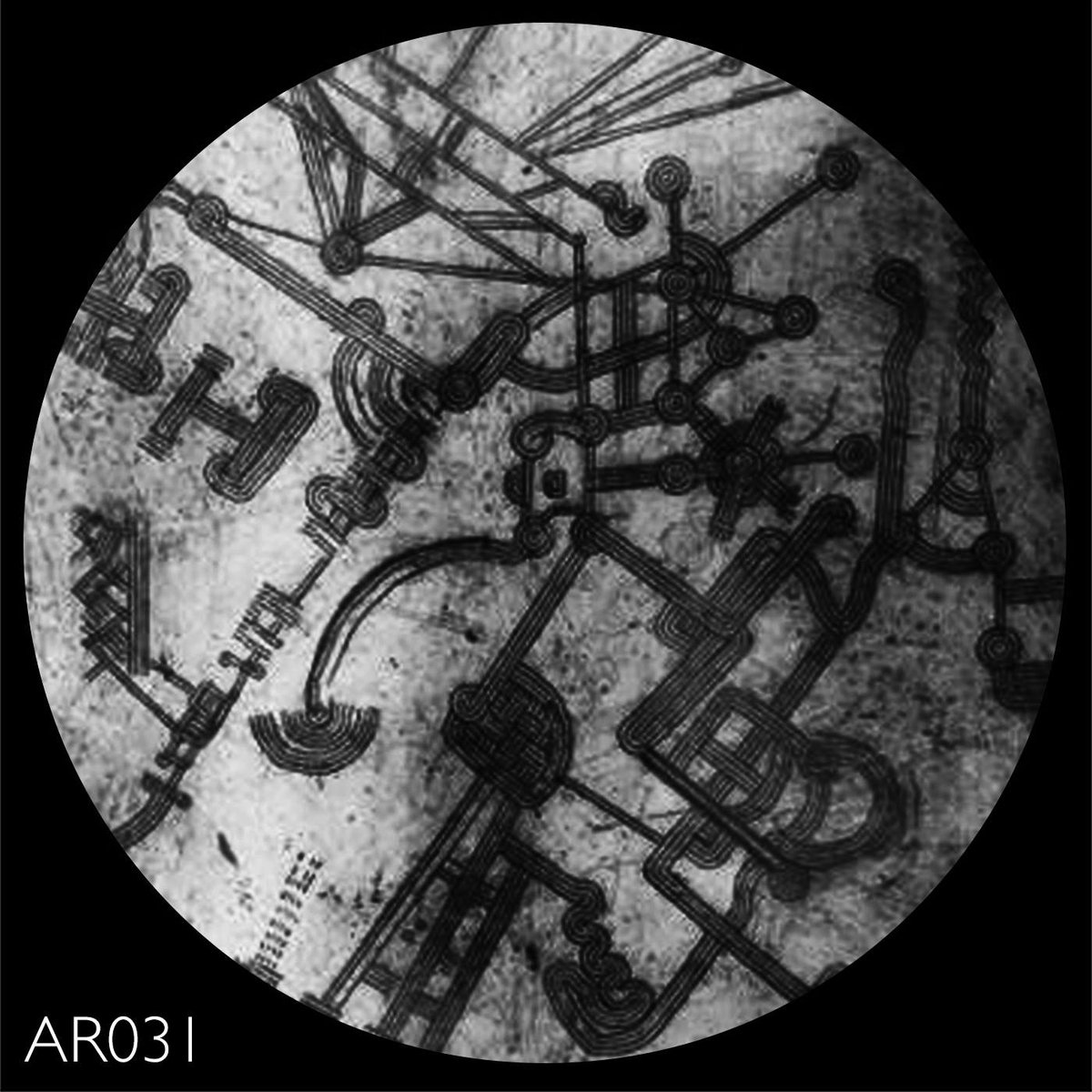 Sri Lanka by ZIMT (Single, Tech House): Reviews, Ratings, Credits, Song ...