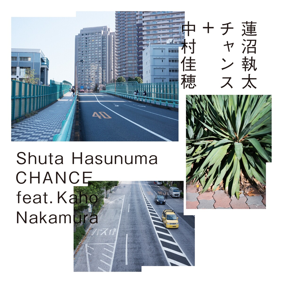 Chance by 蓮沼執太 [Shuta Hasunuma] (Single): Reviews, Ratings, Credits ...