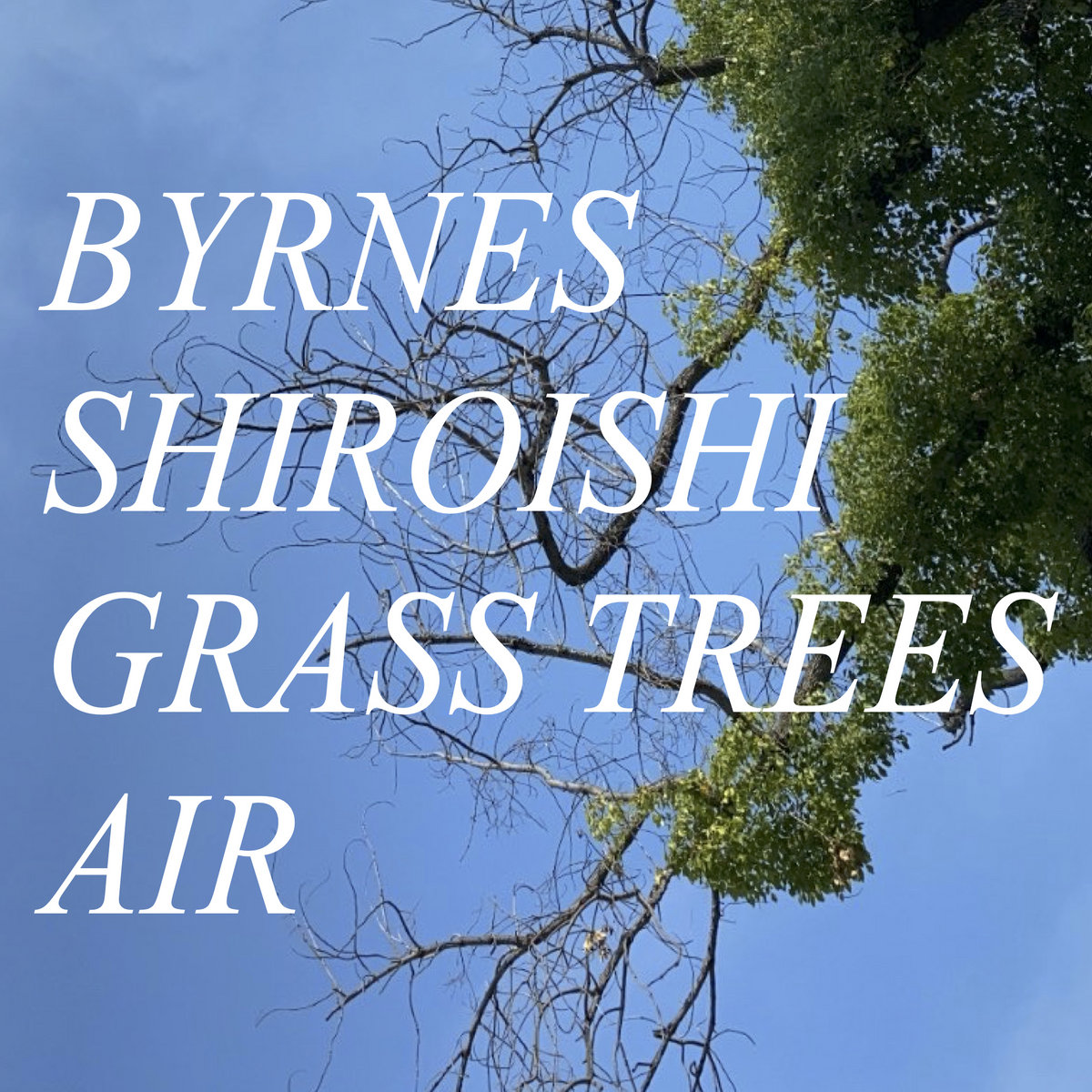 Grass Trees Air by Byrnes / Shiroishi (EP): Reviews, Ratings, Credits, Song list - Rate Your Music