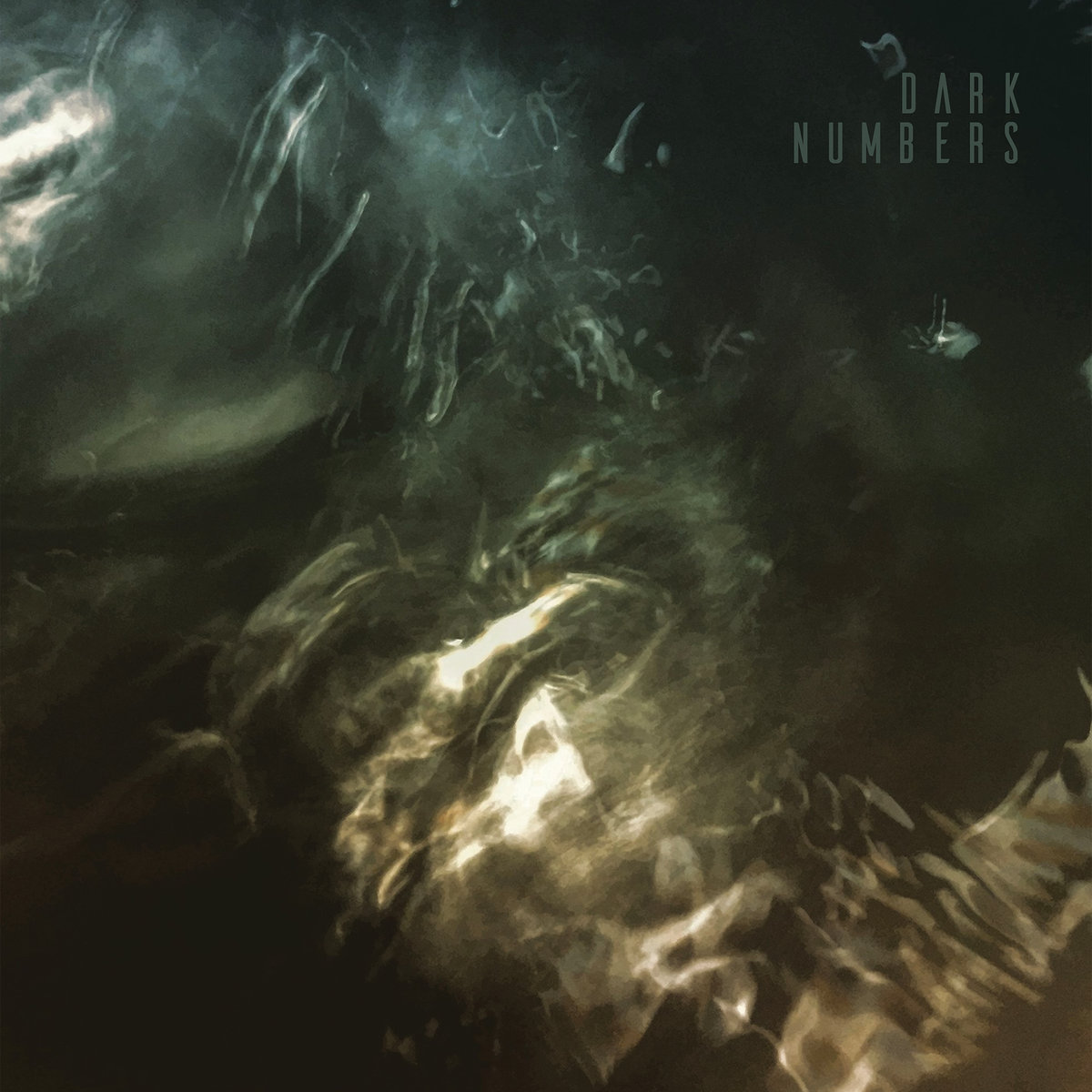 Dark Numbers Albums: songs, discography, biography, and listening guide ...