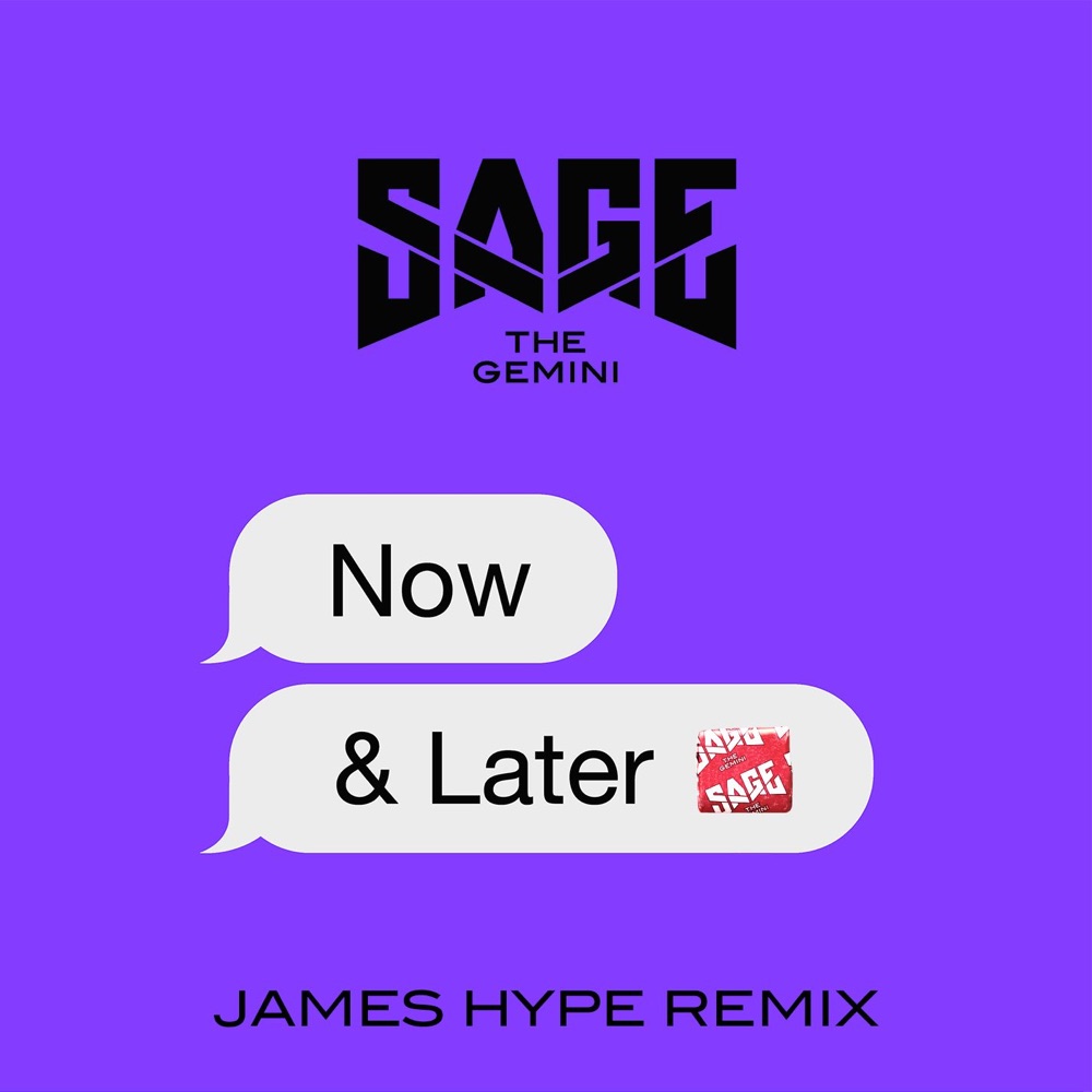 Now and Later (James Hype Remix) by Sage the Gemini (Single): Reviews, Ratings, Credits, Song ...