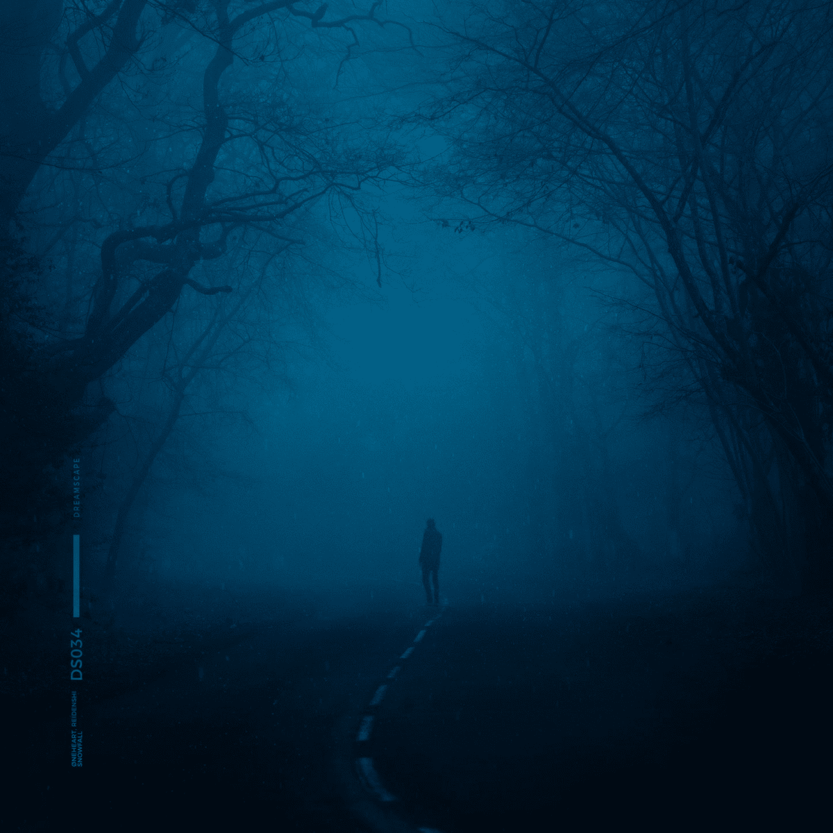 Snowfall by Øneheart & reidenshi (Single, Space Ambient): Reviews ...