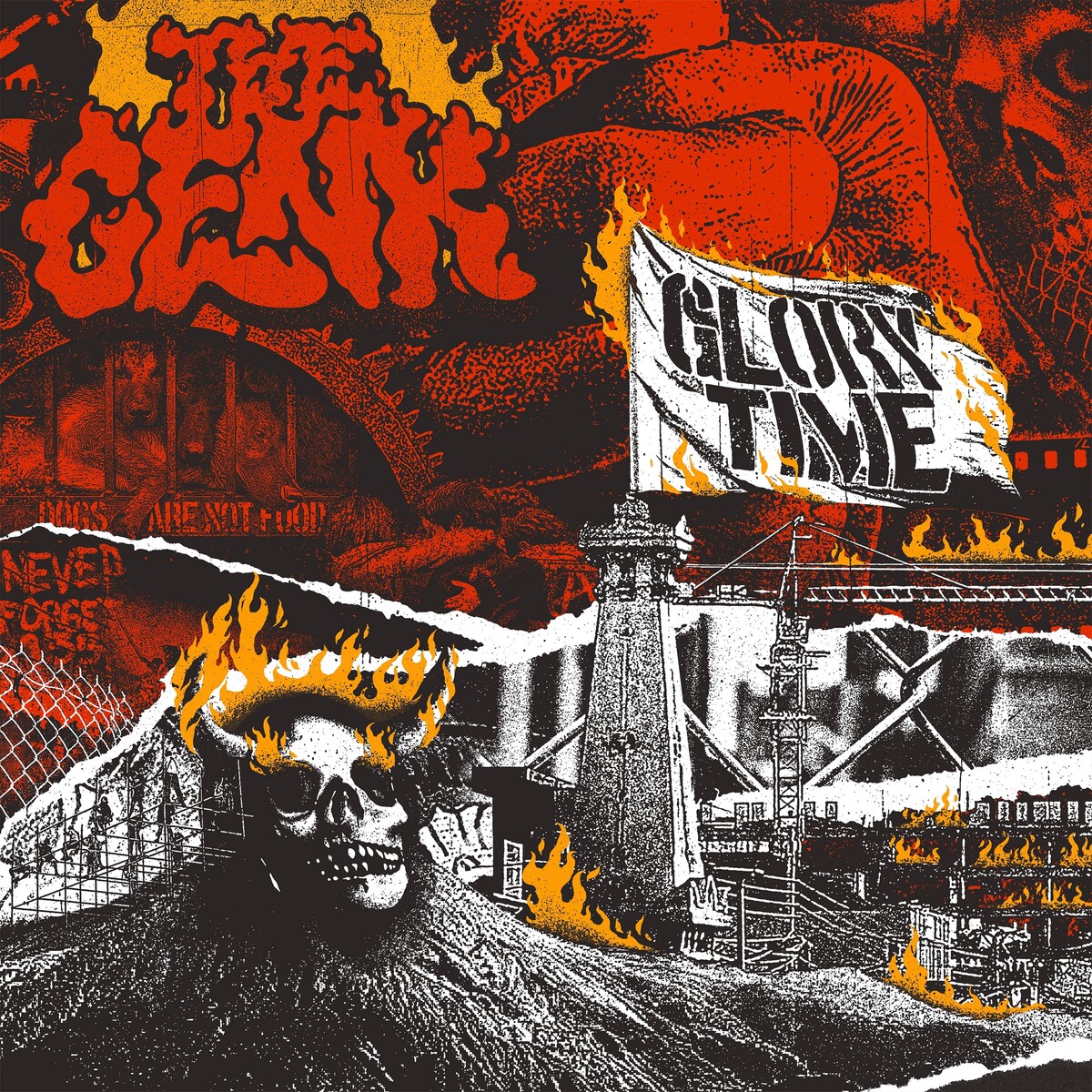 The Genk Albums: songs, discography, biography, and listening guide ...