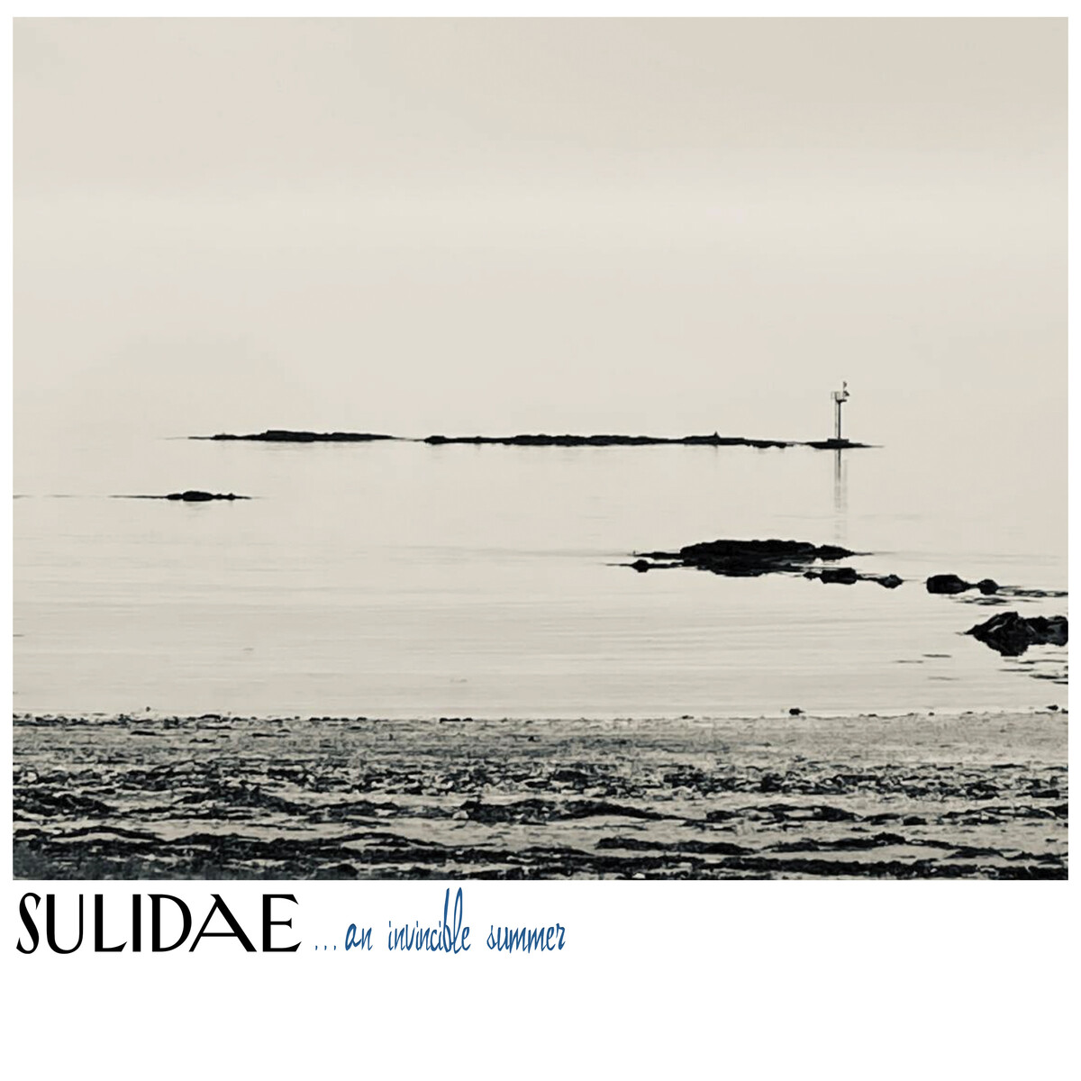Sulidae Albums: songs, discography, biography, and listening guide ...