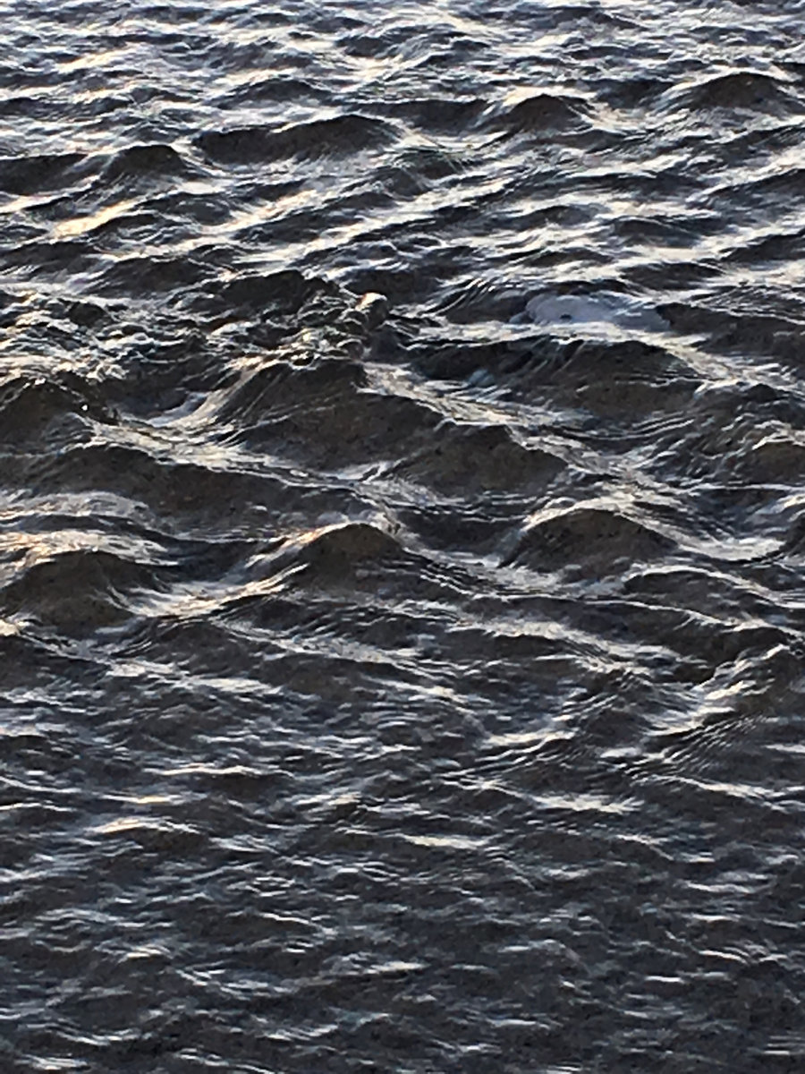 Michael Rosenstein Albums: songs, discography, biography, and listening ...