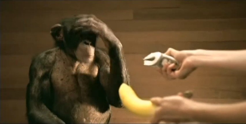 Evolution by Korn (Music video): Reviews, Ratings, Credits, Song list ...