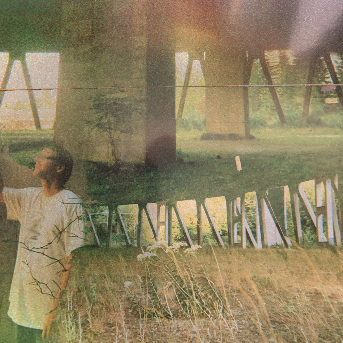 Shelf Nunny Albums: songs, discography, biography, and listening guide ...