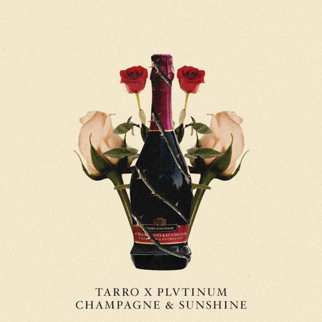 Champagne & Sunshine by Tarro x Plvtinum (Single, Future Bass): Reviews ...