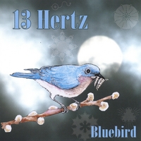 Bluebird by 13 Hertz (Album): Reviews, Ratings, Credits, Song list ...