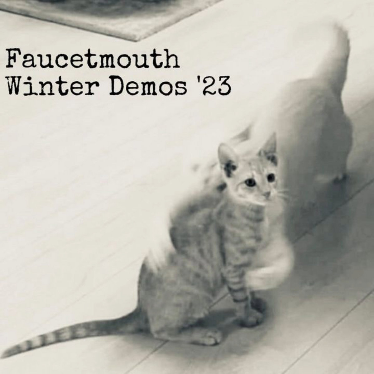 Winter Demos '23 by Faucetmouth (Additional release): Reviews, Ratings, Credits, Song list ...