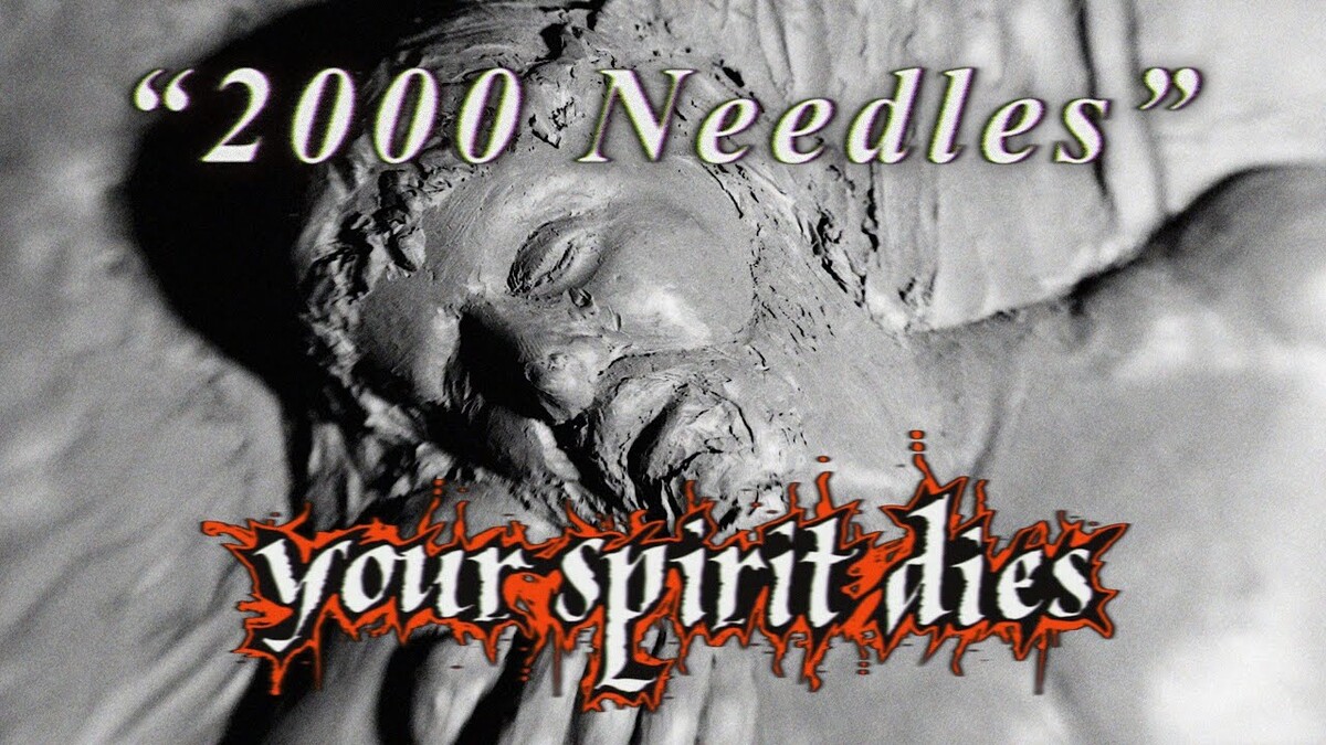 2000 Needles by Your Spirit Dies (Music video): Reviews, Ratings ...