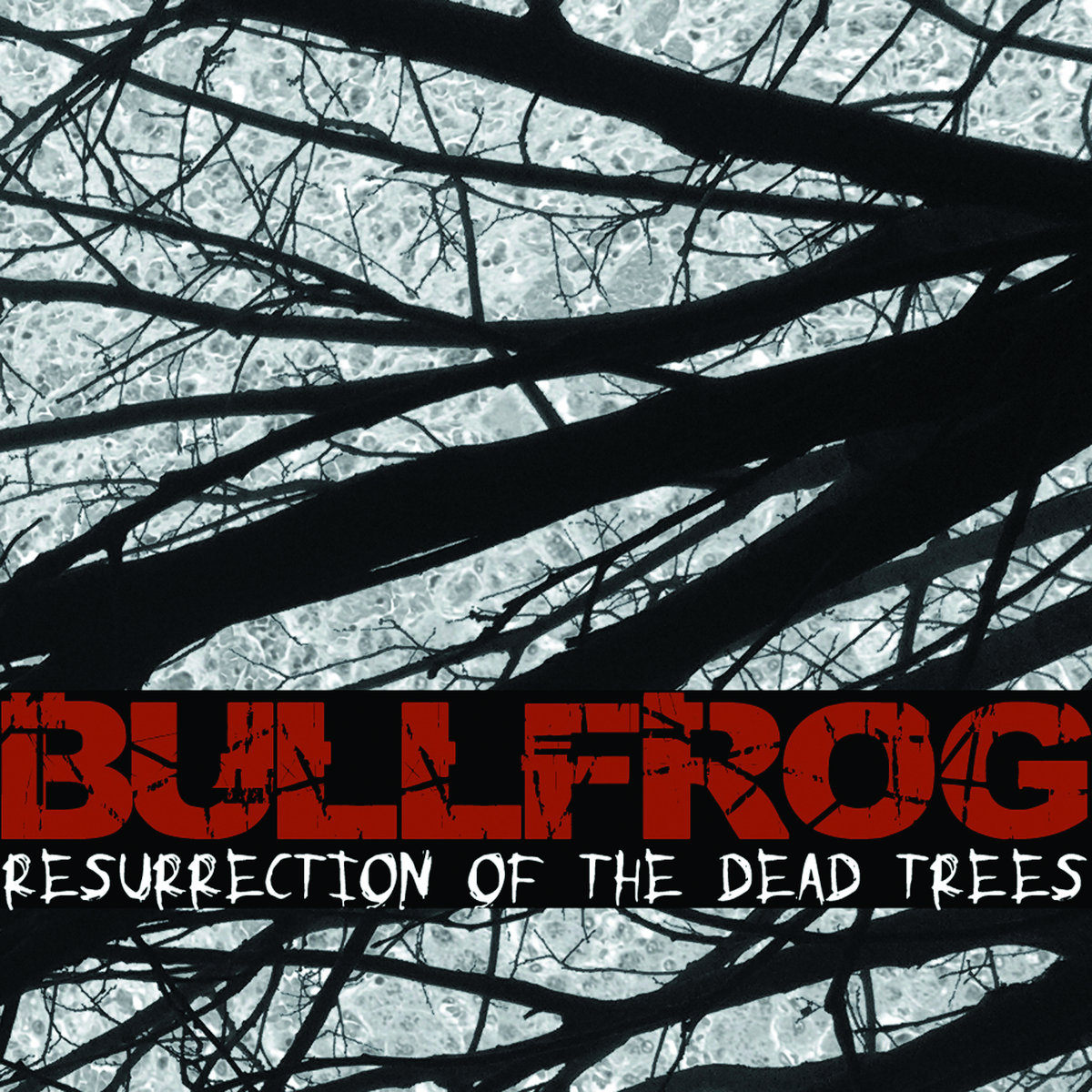 Bullfrog Albums: songs, discography, biography, and listening guide ...