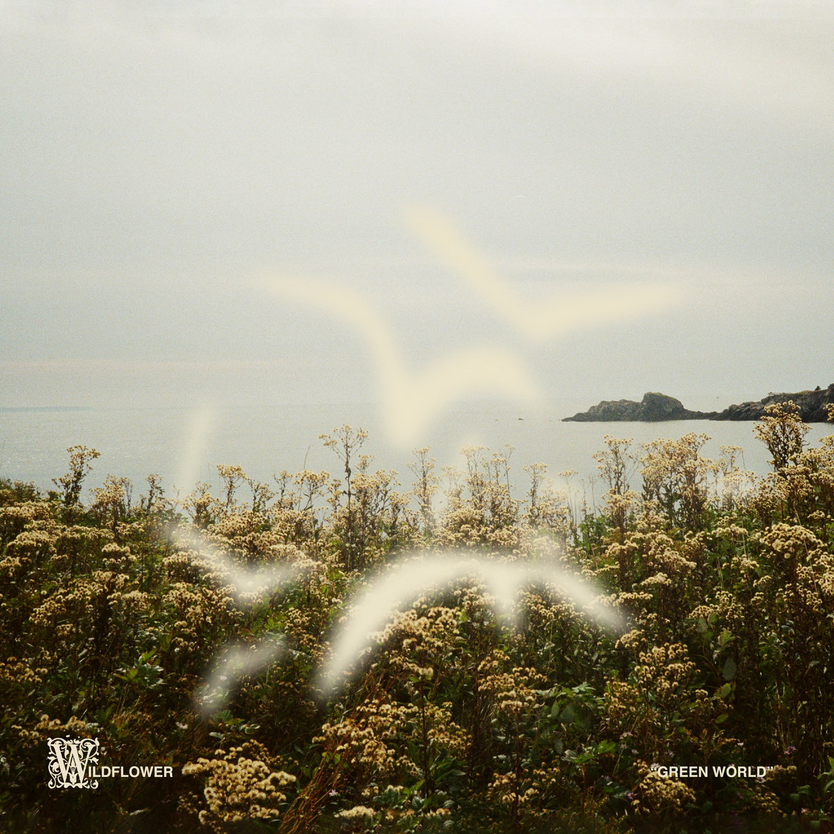 Green World by Wildflower (Album, Soft Rock): Reviews, Ratings, Credits ...